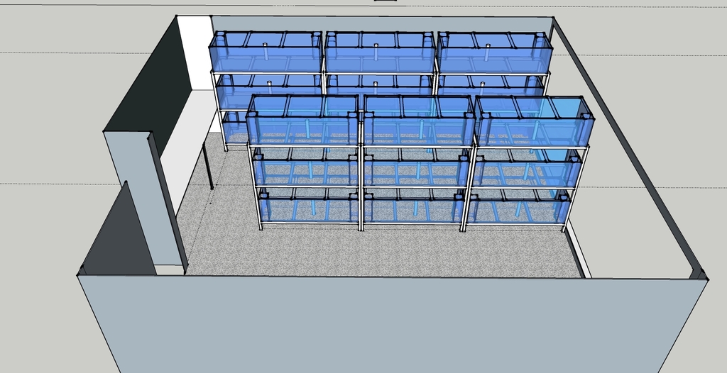 guppy-fish-room-design | Tropical Basement .com