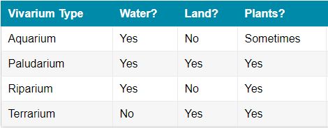 Aquarium – Riparium – Paludarium :: I love them all! | Tropical ...
