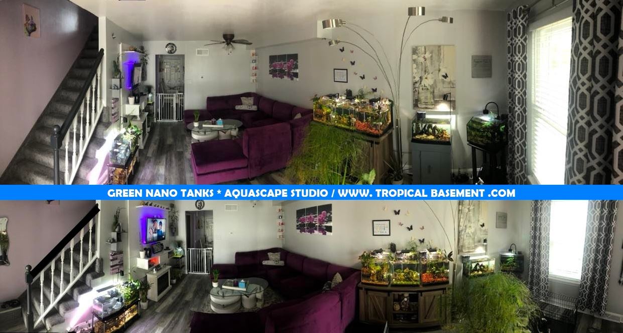 Tropical Basement – Fish Room | Tropical Basement .com